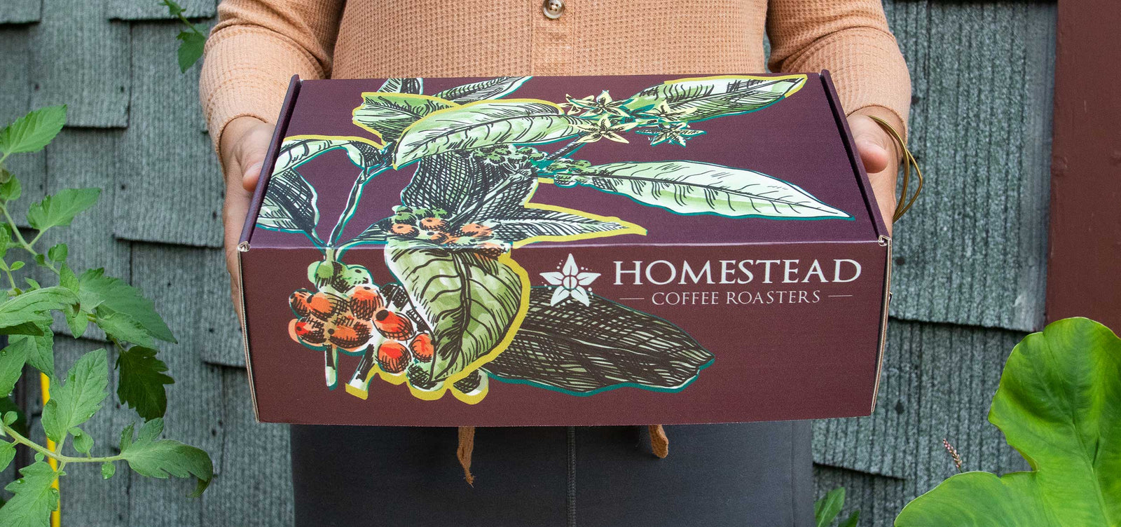 Homestead Coffee Roasters